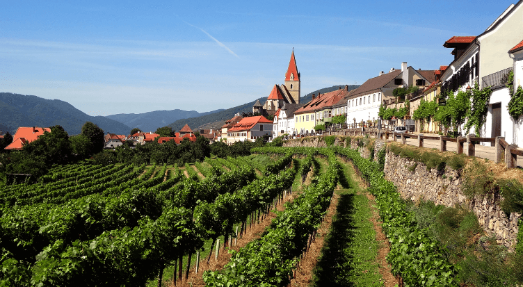 Czech Republic Wineries | Wine Tours Czech Republic | Private Tasting
